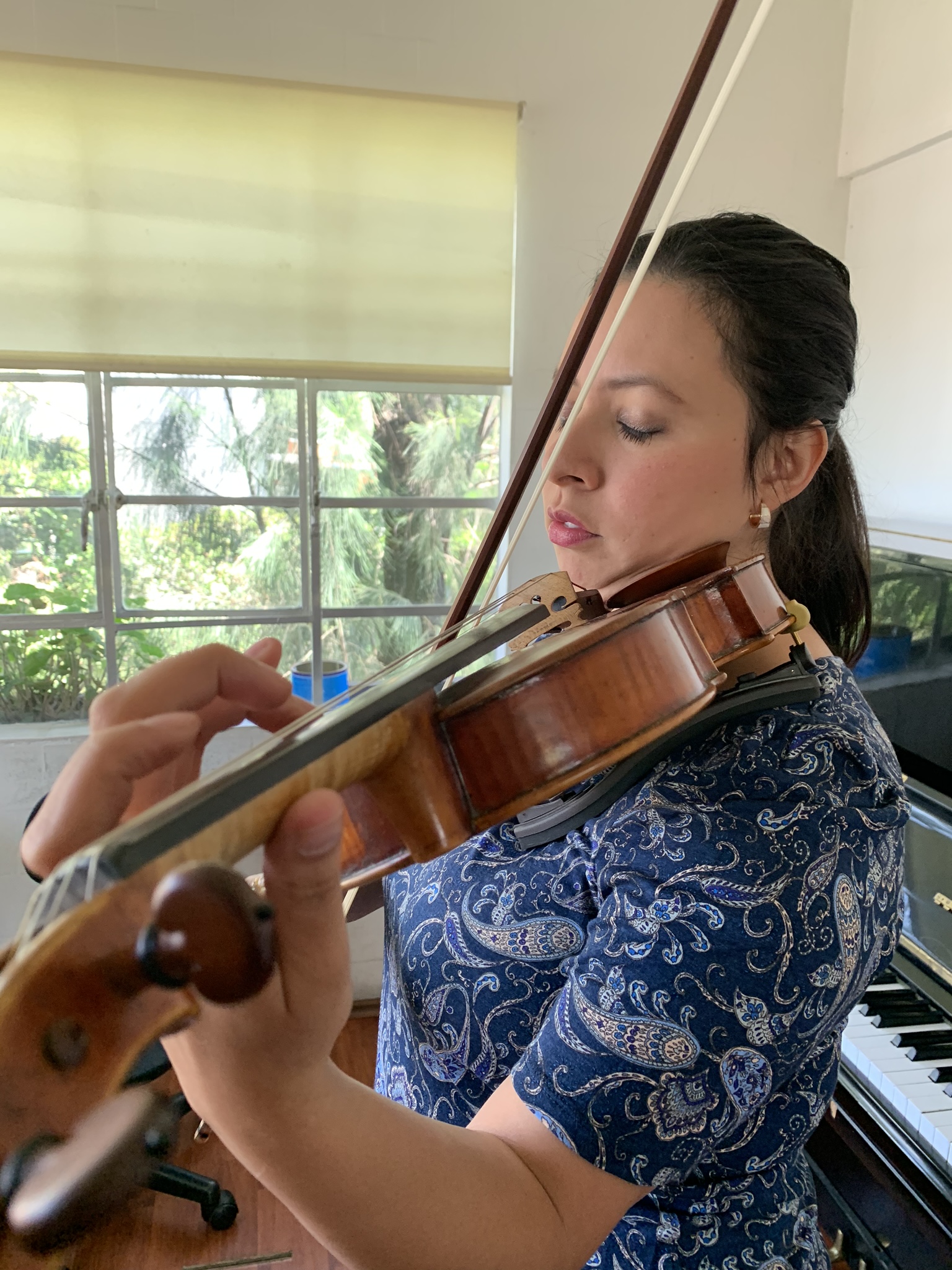 AMMS | Profesor Perfil