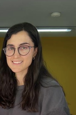 AMMS | Profesor Perfil