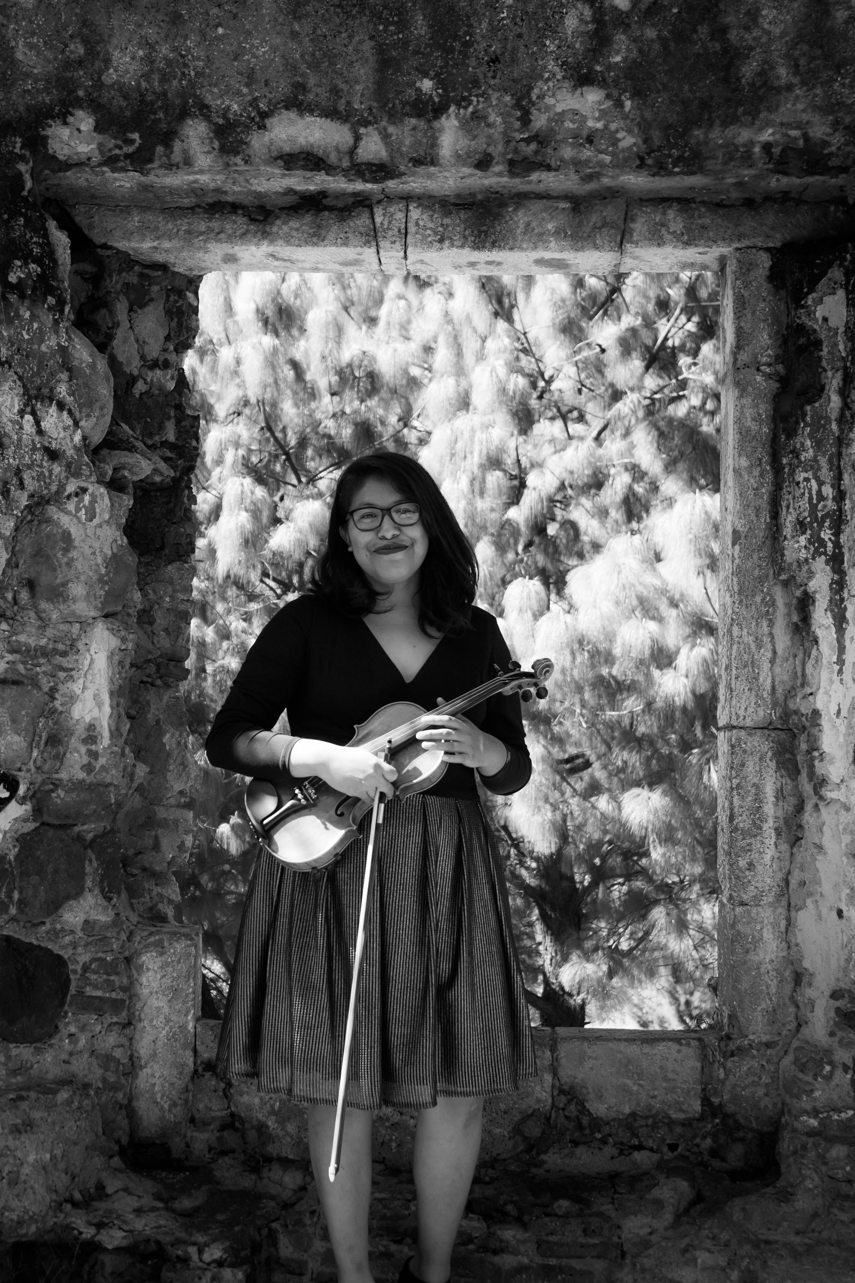 AMMS | Profesor Perfil