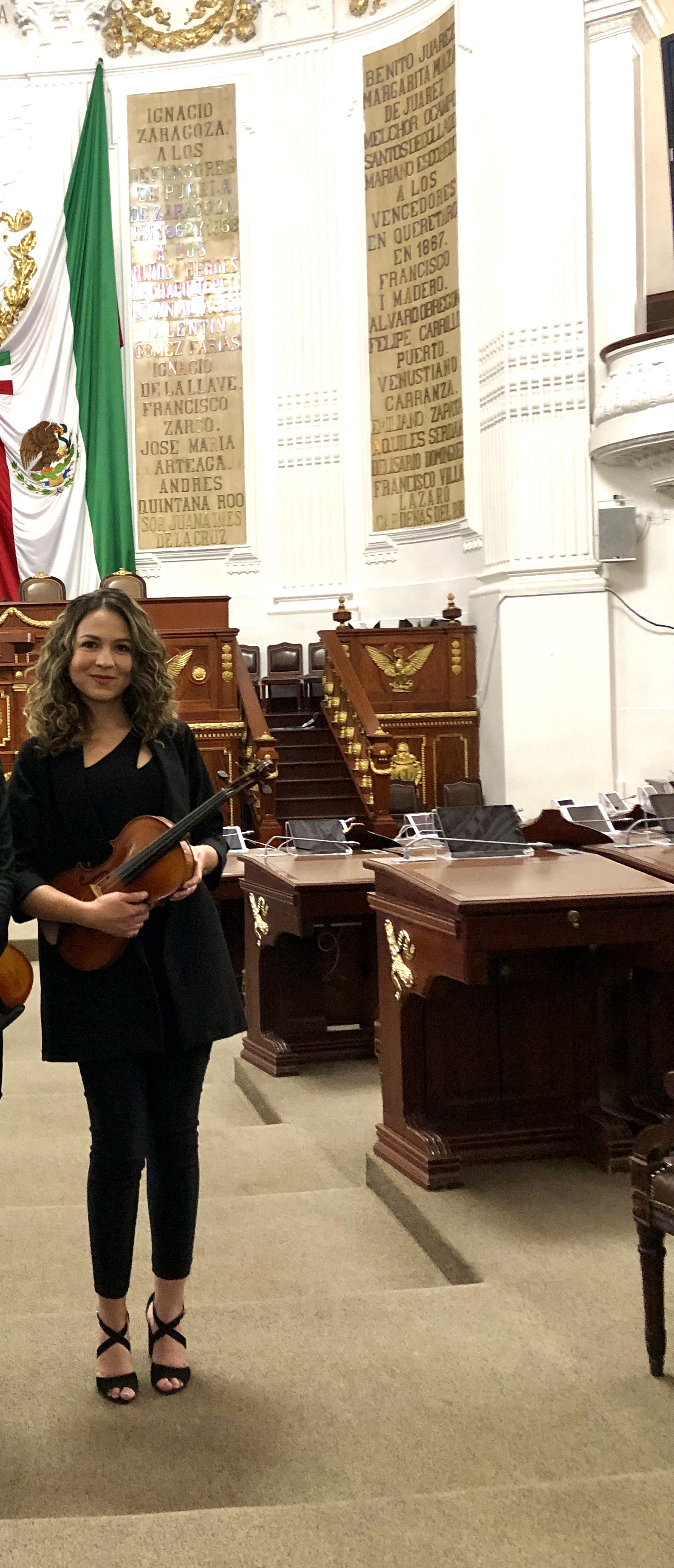 AMMS | Profesor Perfil